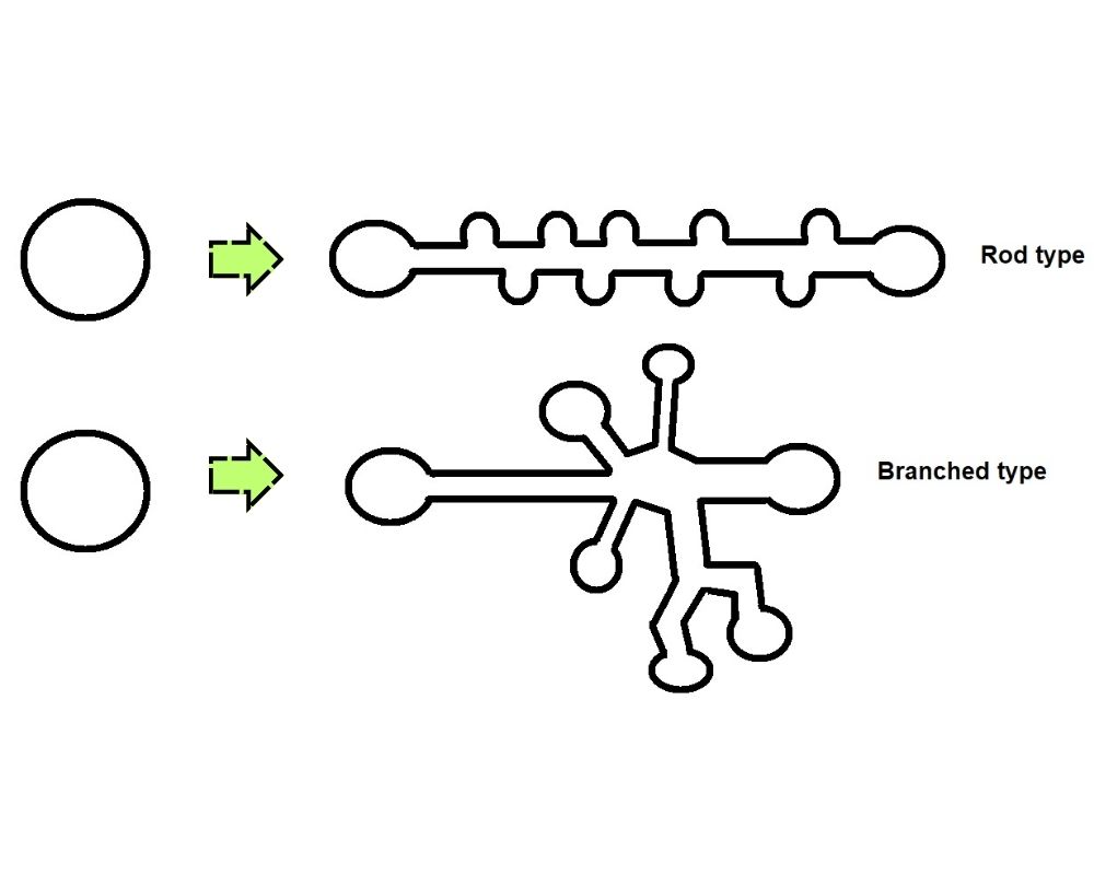 Difference Between Virus and Viroids A Blog With A Difference Difference Between Virus and Viroids A Blog With A Difference